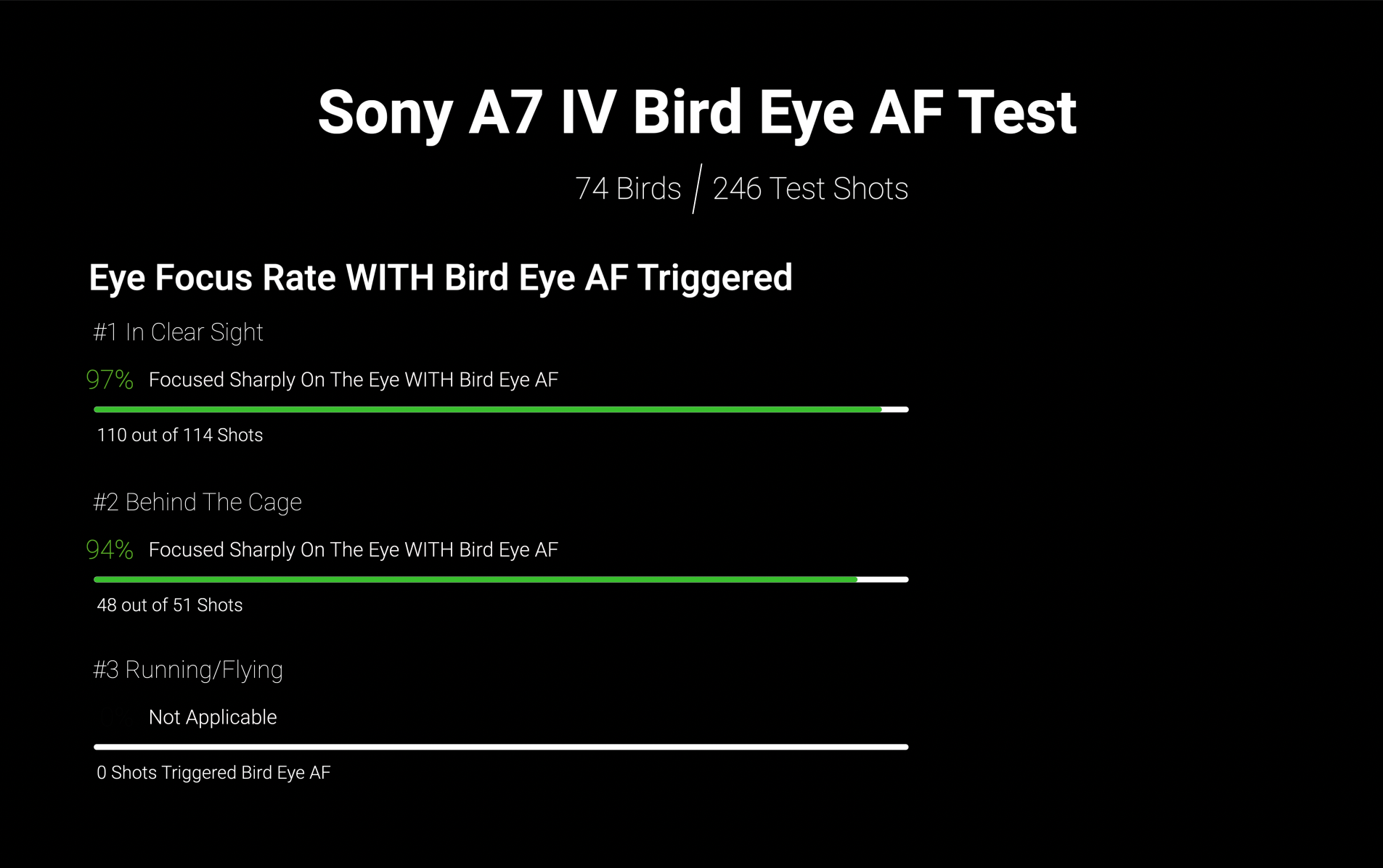 Sony A7 IV Bird Eye AF Test - James Tan Photography